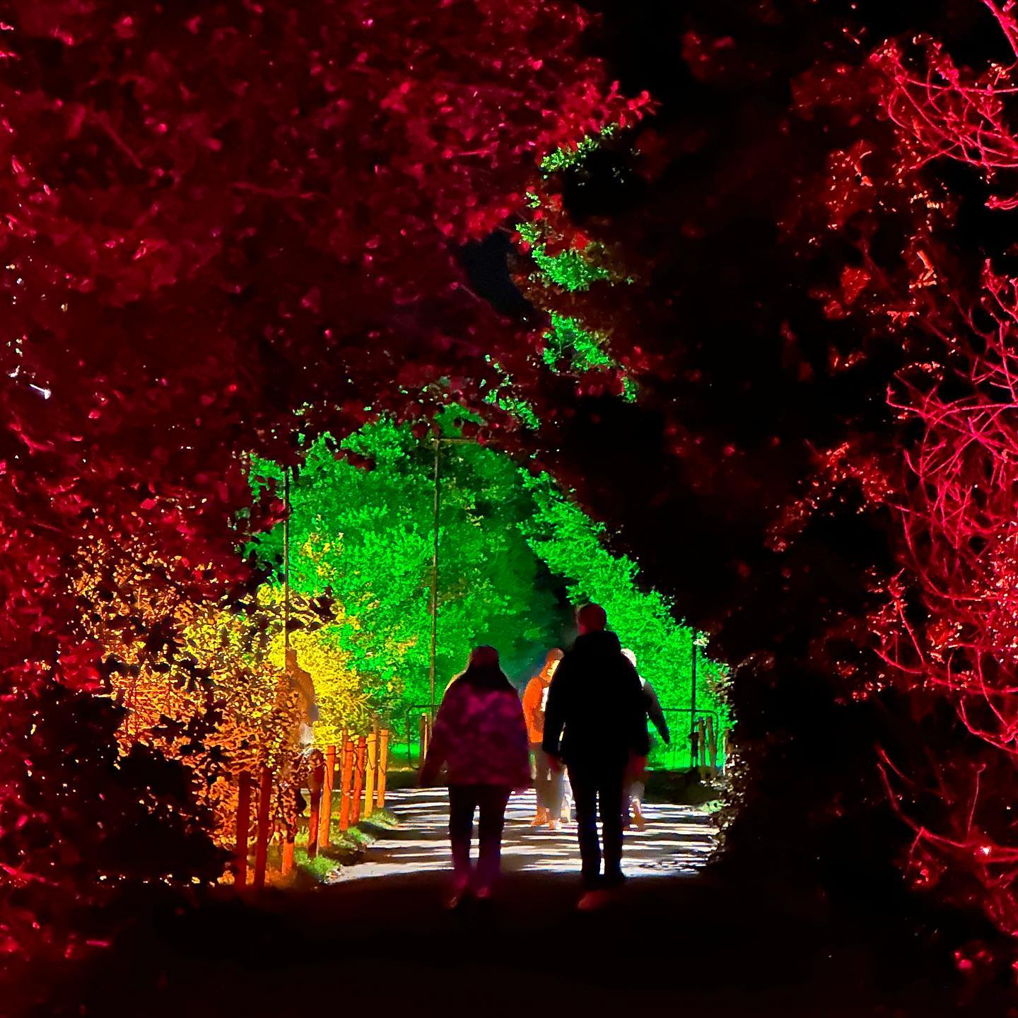 winter-colours – edparsons.com