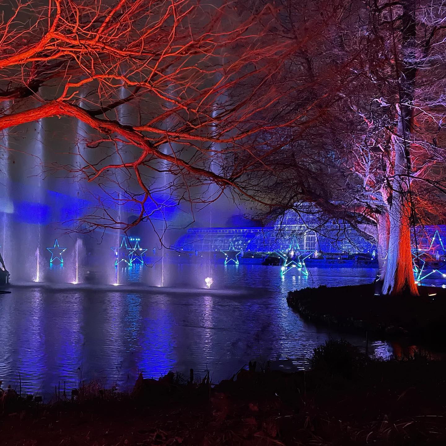 saturday-night-lights – edparsons.com