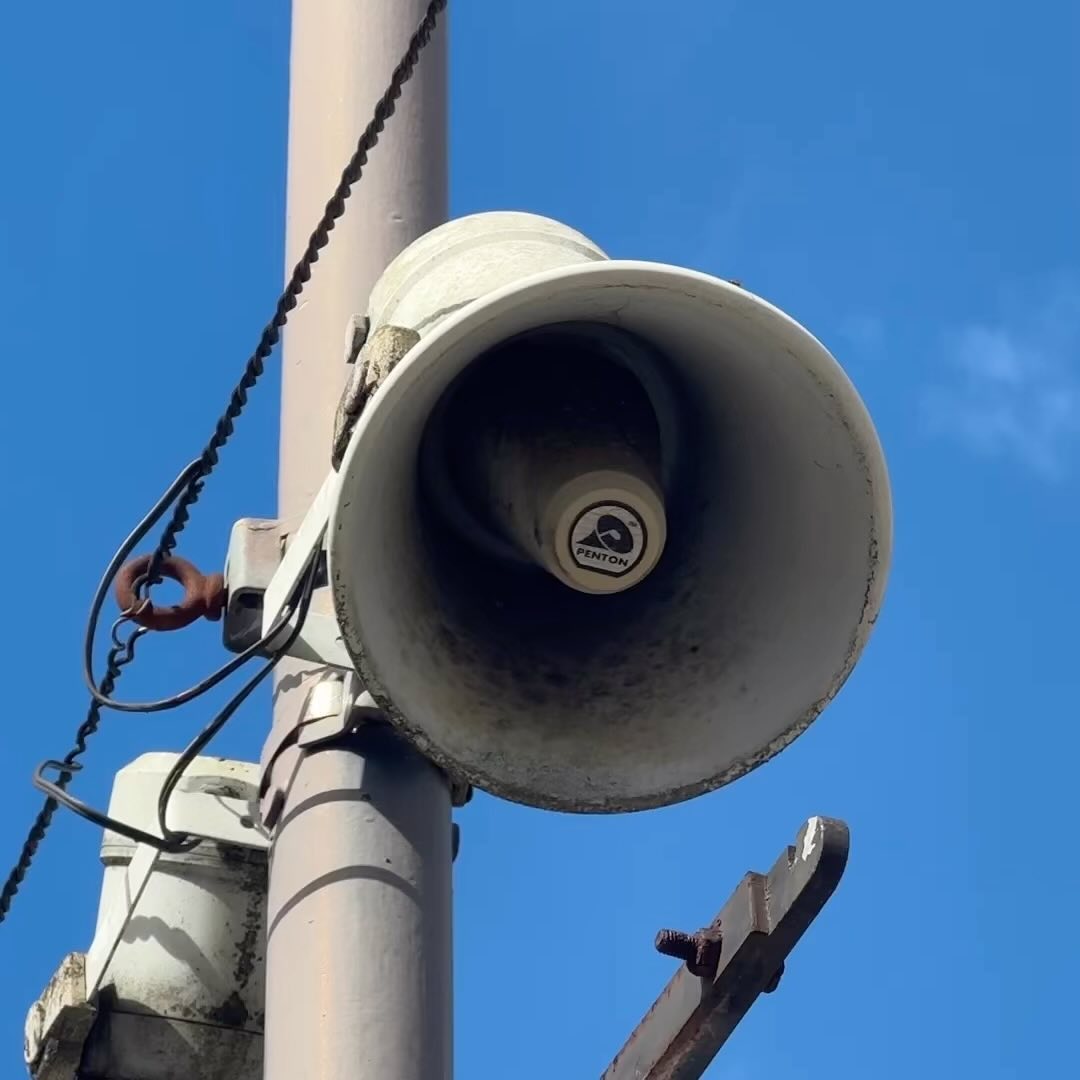 buzz – edparsons.com