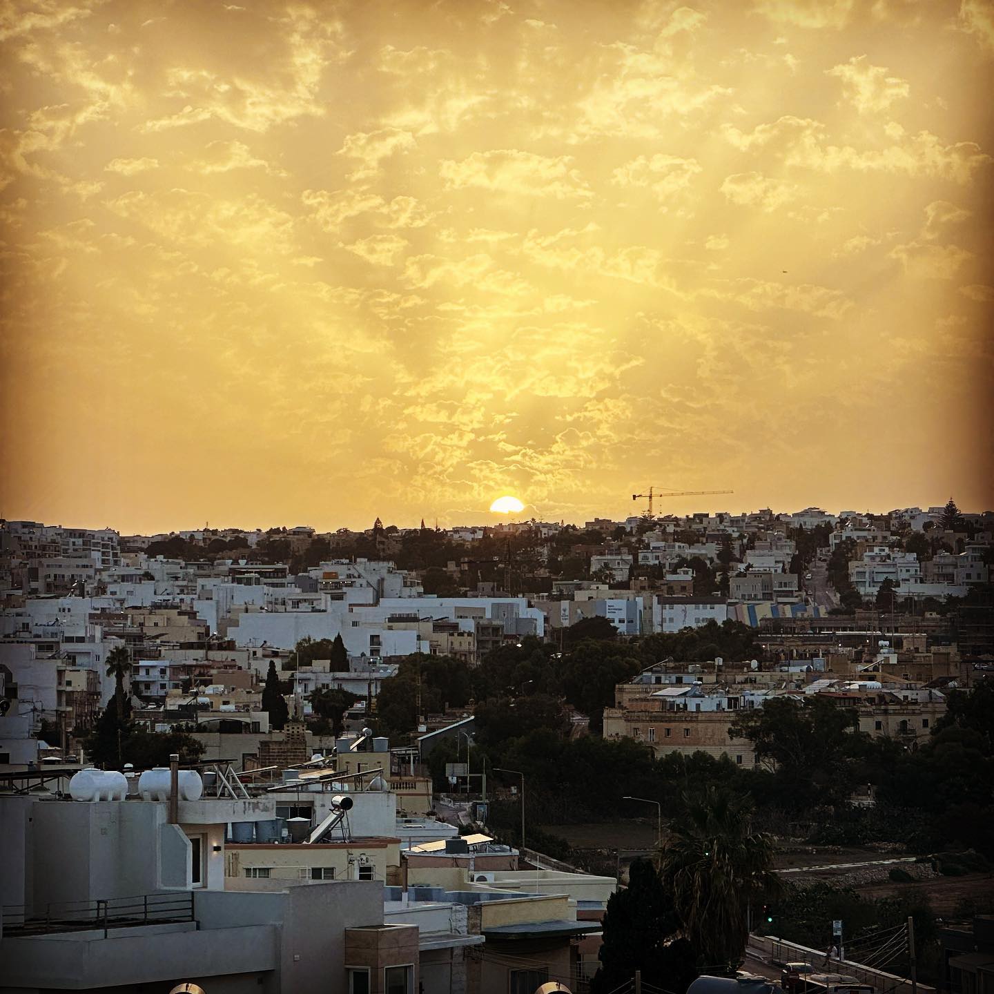 maltese-sunset – edparsons.com